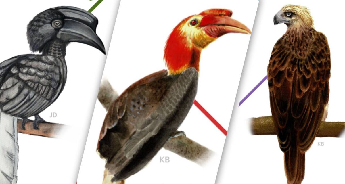 Creative Manila – “CREATIVITY IS CONTAGIOUS, PASS IT ON.” -Albert Einstein