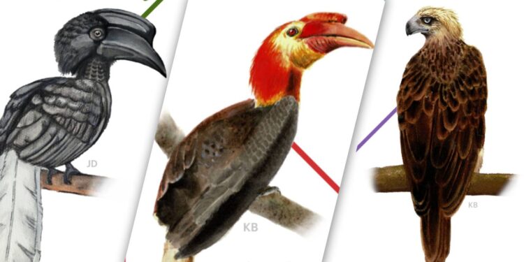 THE BOOLEAN GAME: Unleash Your Design Potential with Boolean Operations ...